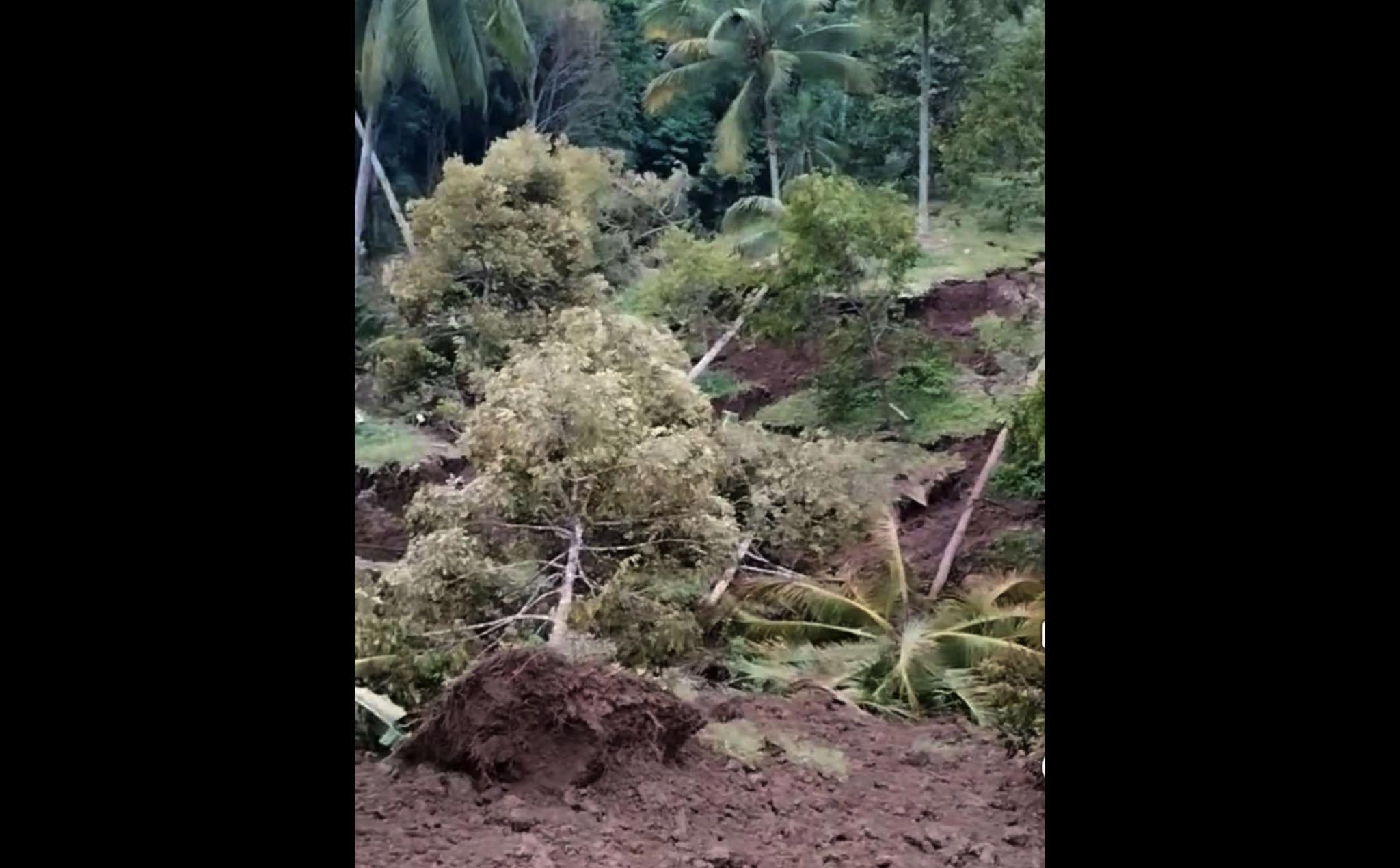 Fruit trees damaged after landslide hits Davao Occidental town