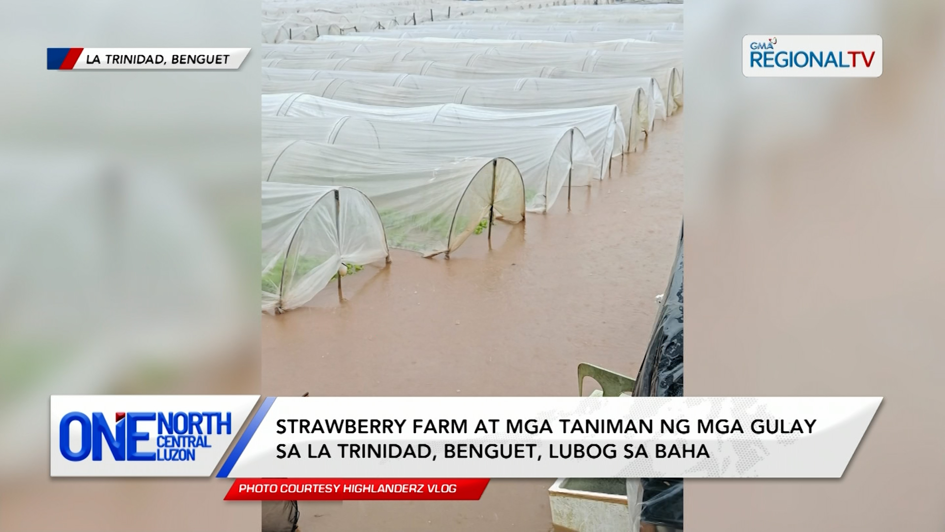 Strawberry farm at mga taniman ng mga gulay sa La Trinidad, lubog sa baha | One North Central Luzon
