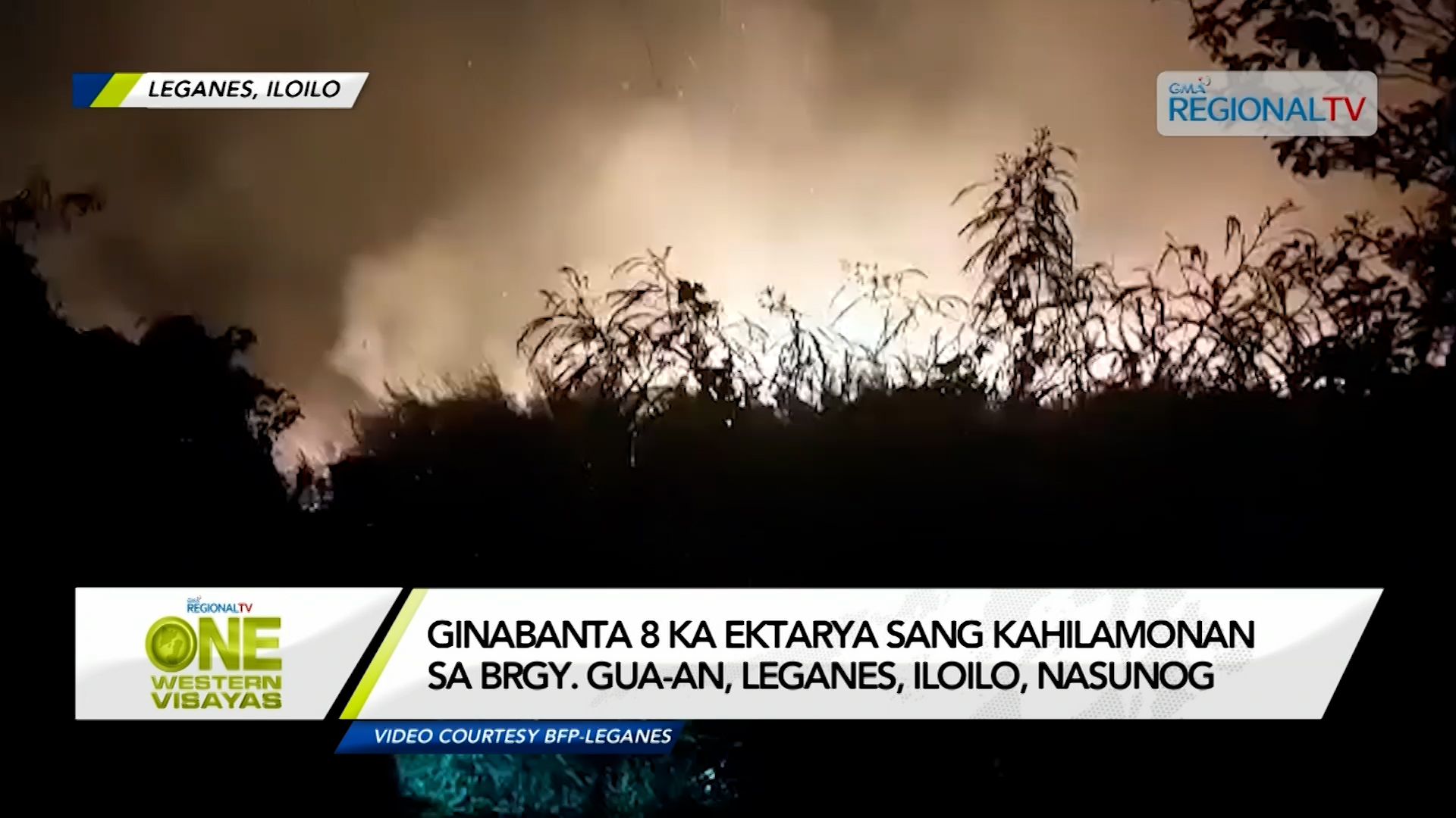 Ginabanta 8 ka ektarya sang kahilamonan sa Leganes, Iloilo, nasunog