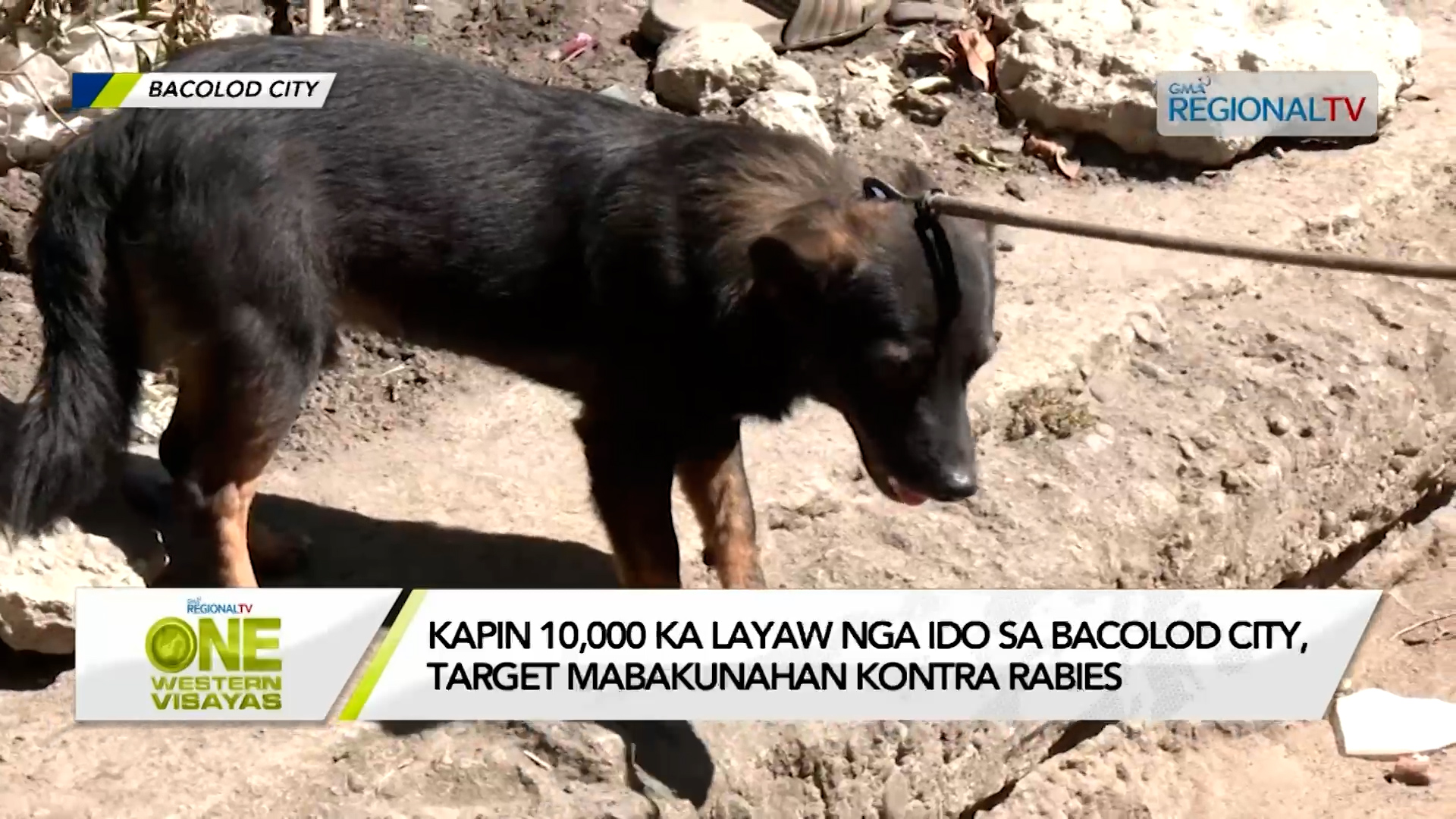 Kapin 10,000 ka layaw nga ido sa Bacolod City, target mabakunahan ...