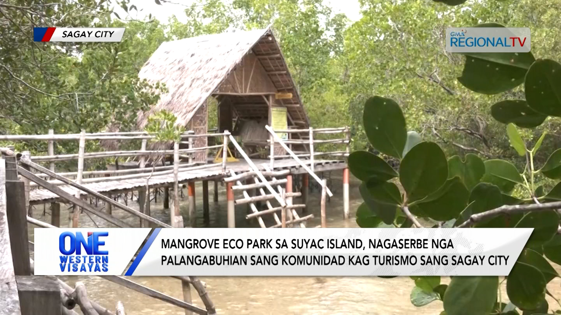 Mangrove Eco Park sa Suyac Island, nagaserbe nga palangabuhian sang ...