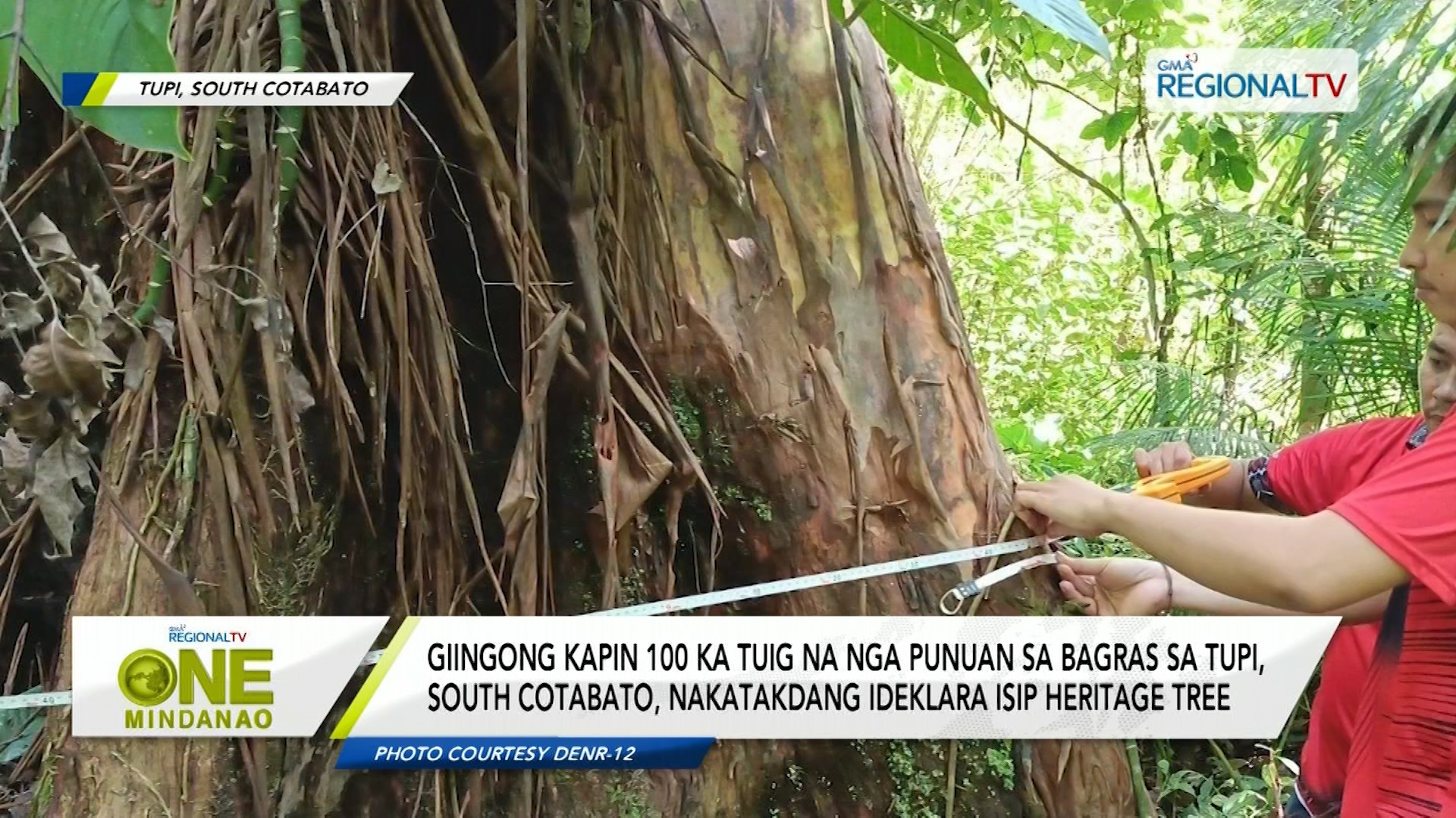 100 ka tuig nga Bagras sa south cotabato, nakatakdang ideklara isip ...