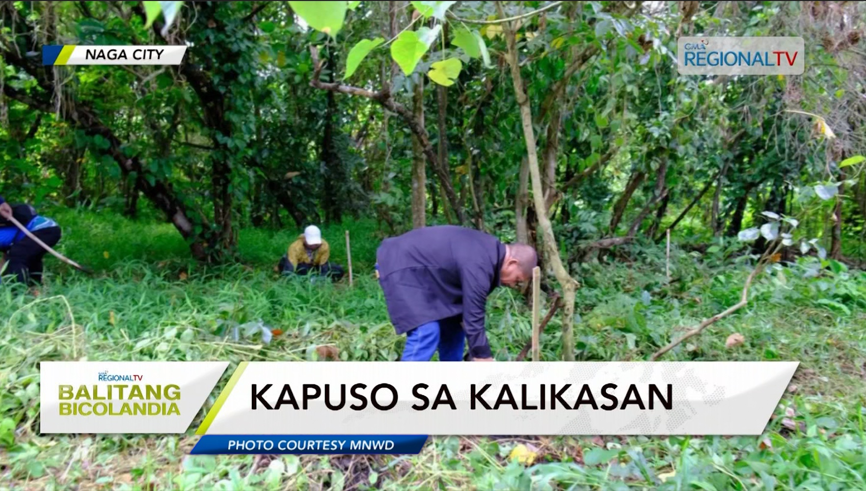 Arbor Day, pigselebrar kasabay kan obserbasyon kan Environment Month