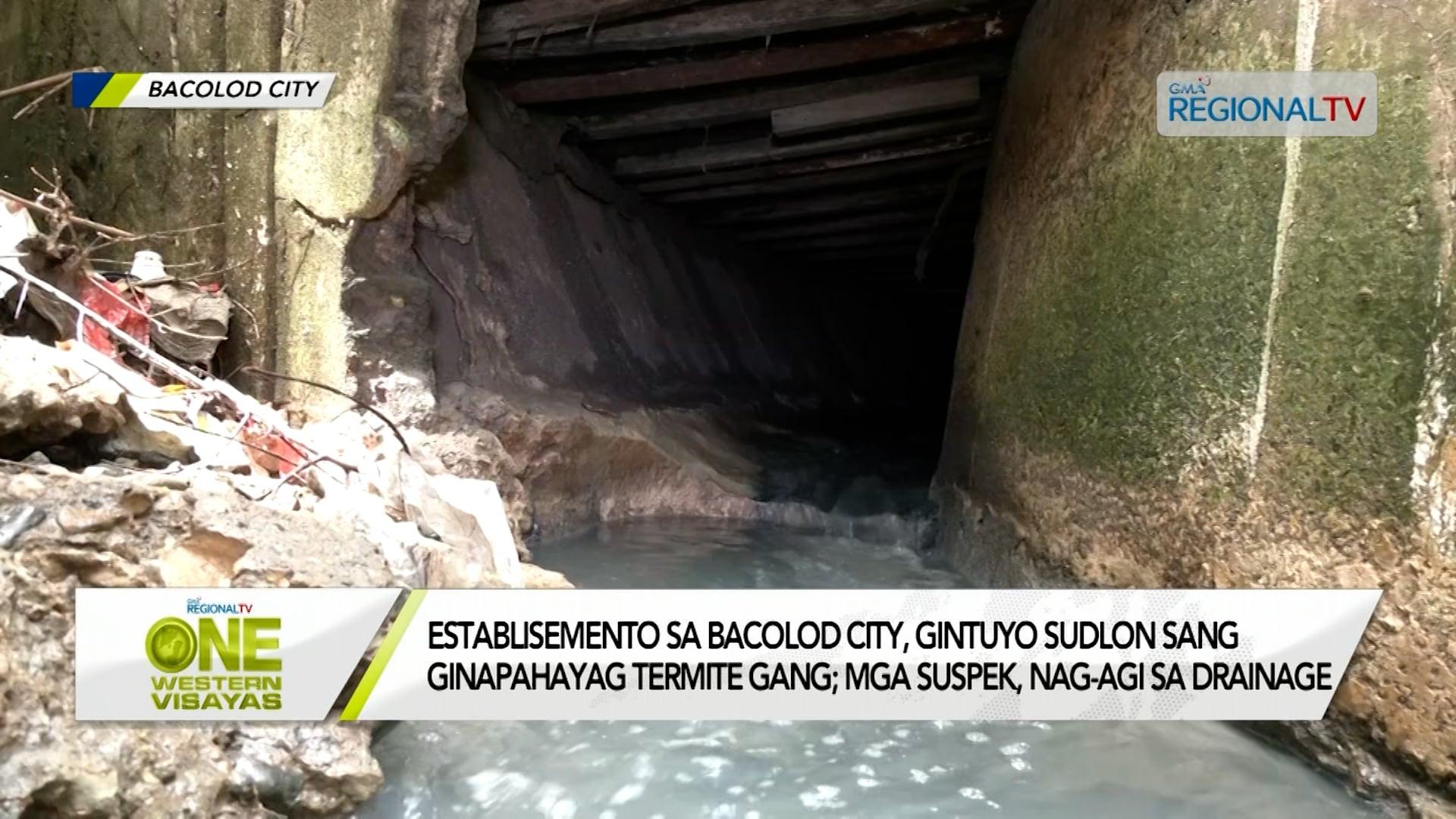 Establisemento sa Bacolod City, gintuyo sudlon sang ginapahayag termite ...