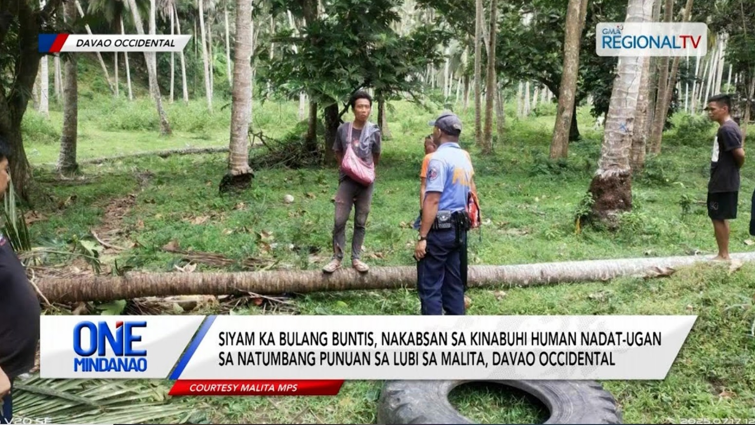 Buntis, nakabsan sa kinabuhi human nadat-ugan sa natumbang punuan sa lubi | One Mindanao
