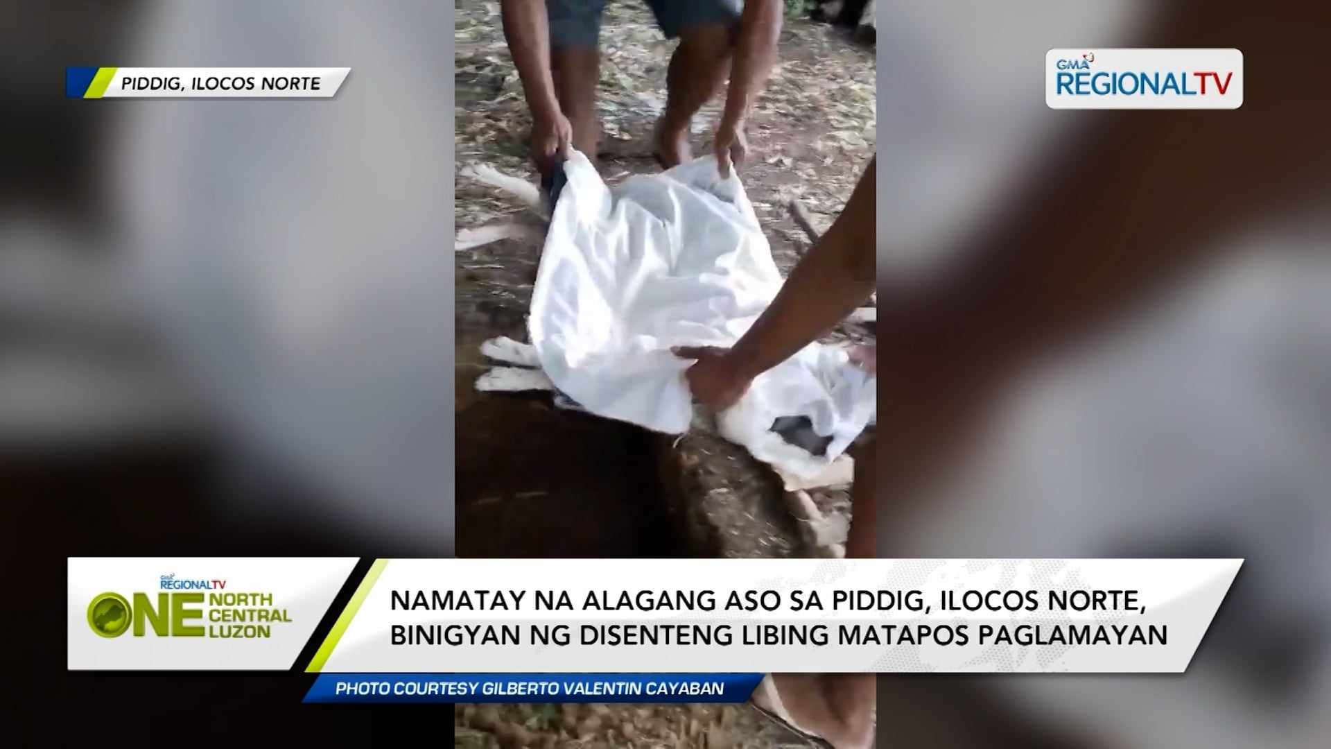 Namatay na alagang aso sa Ilocos Norte, binigyan ng disenteng libing