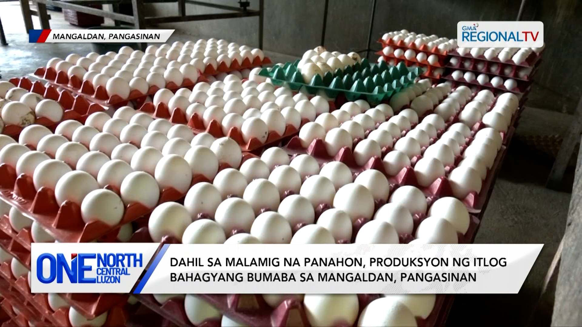 Dahil sa malamig na panahon, produksyon ng itlog bahagyang bumaba