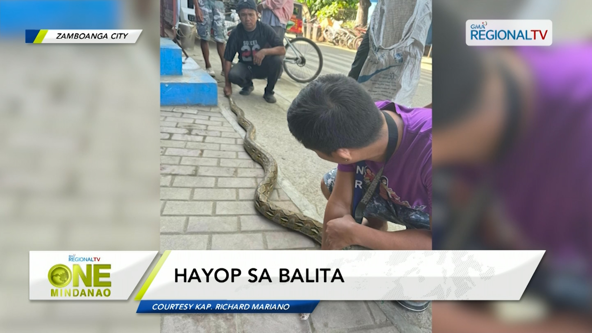 Hayop sa Balita | January 9, 2024
