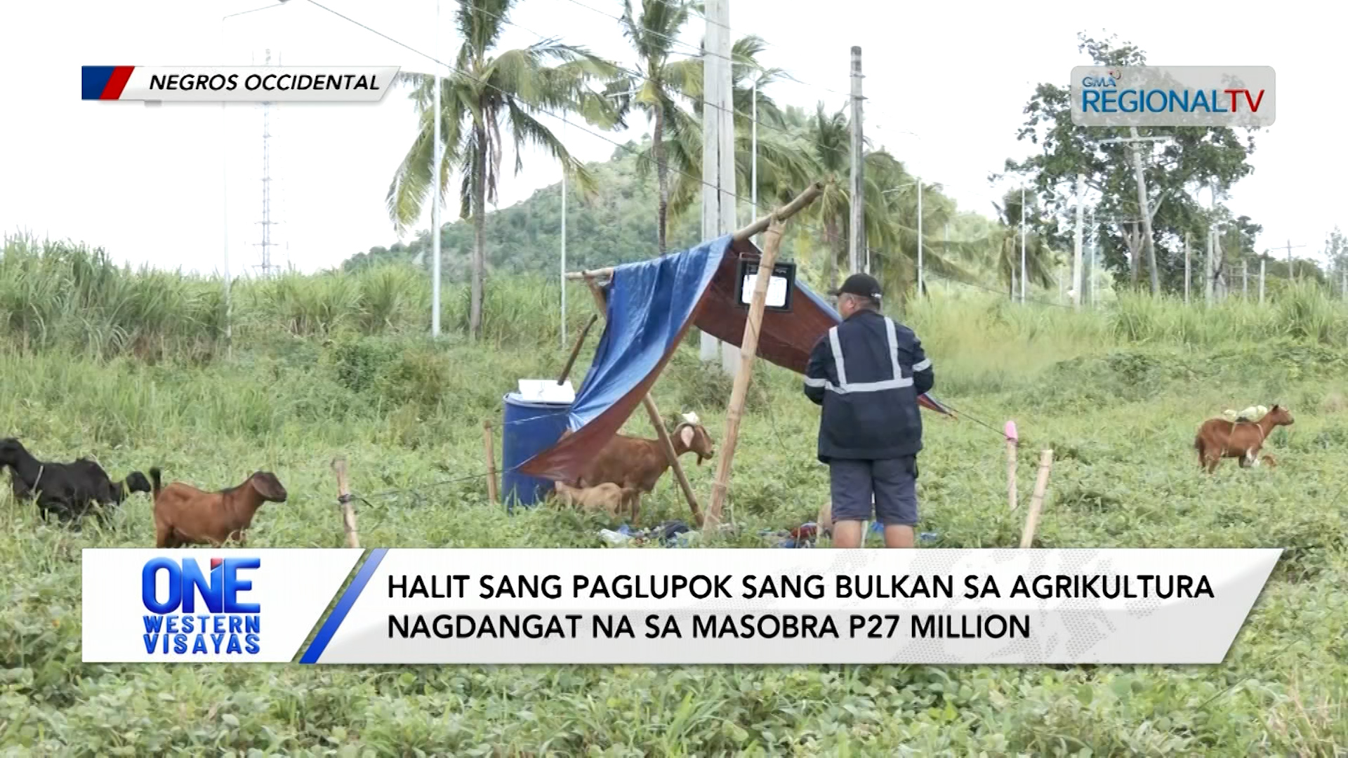 Halit sang paglupok sang bulkan sa agrikultura masobra P27 million na