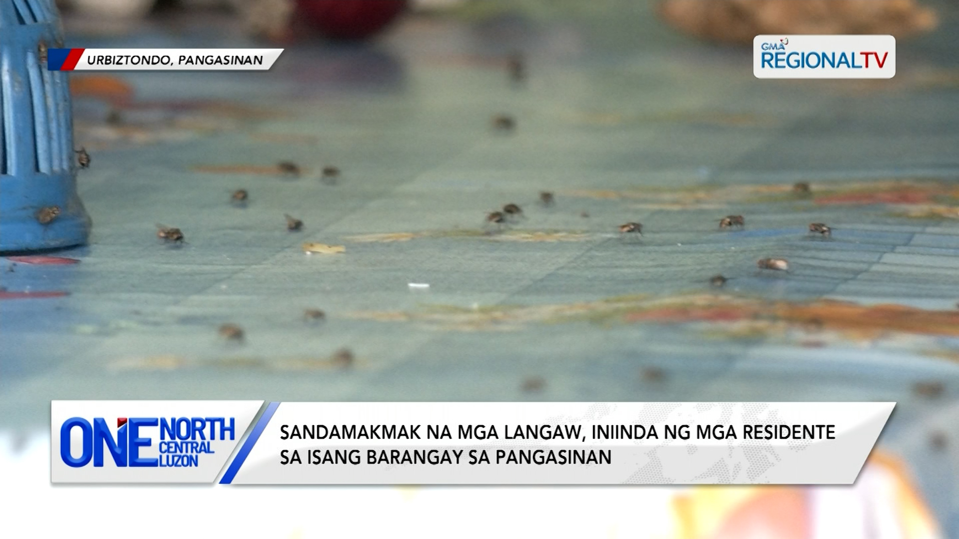 Sandamakmak na langaw, daing ng mga residente sa Urbiztondo, Pangasinan | One North Central Luzon