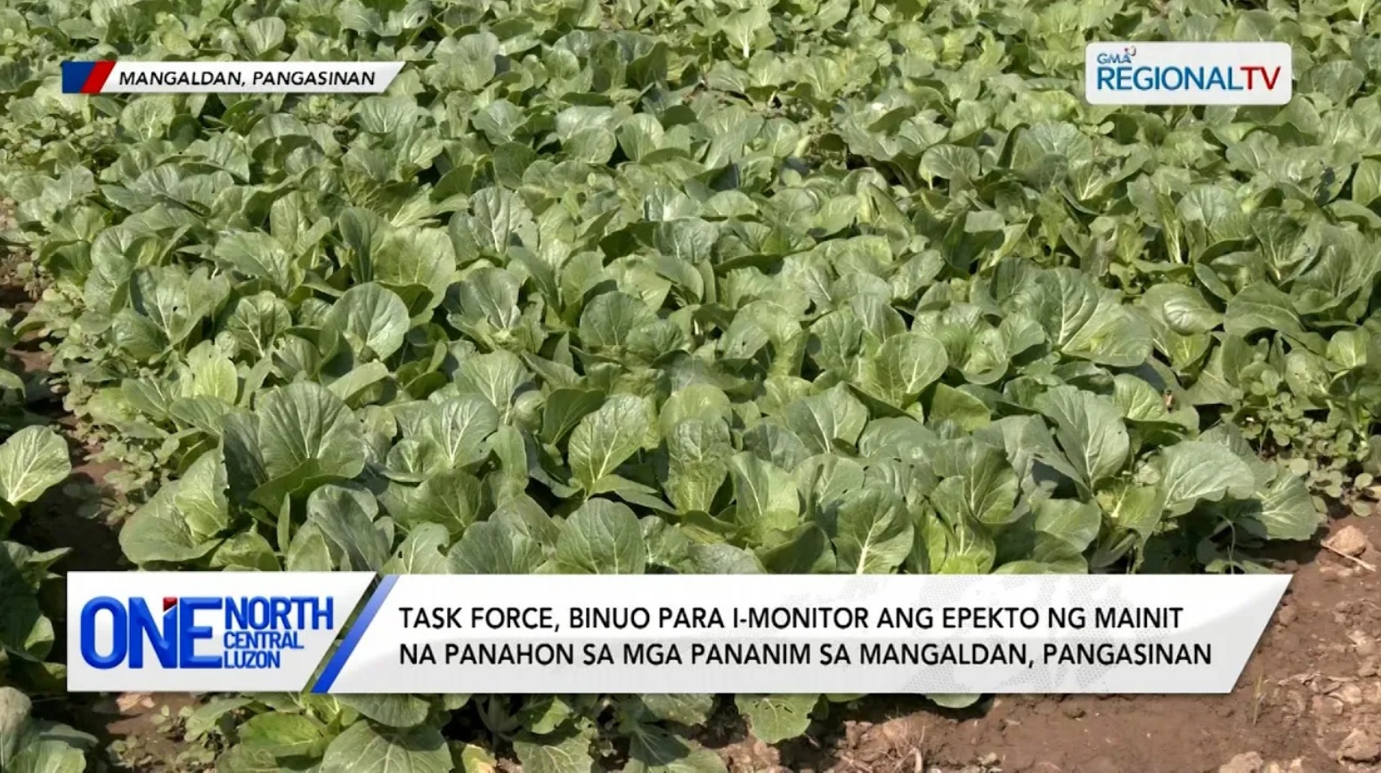Task force, binuo para i-monitor ang epekto ng mainit na panahon