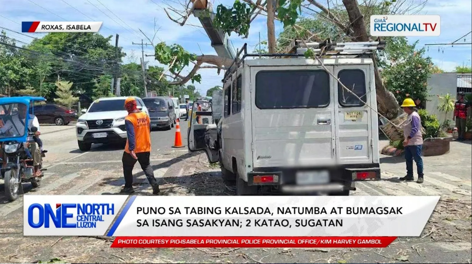 Puno sa tabing kalsada, natumba at bumagsak sa isang sasakyan | One ...