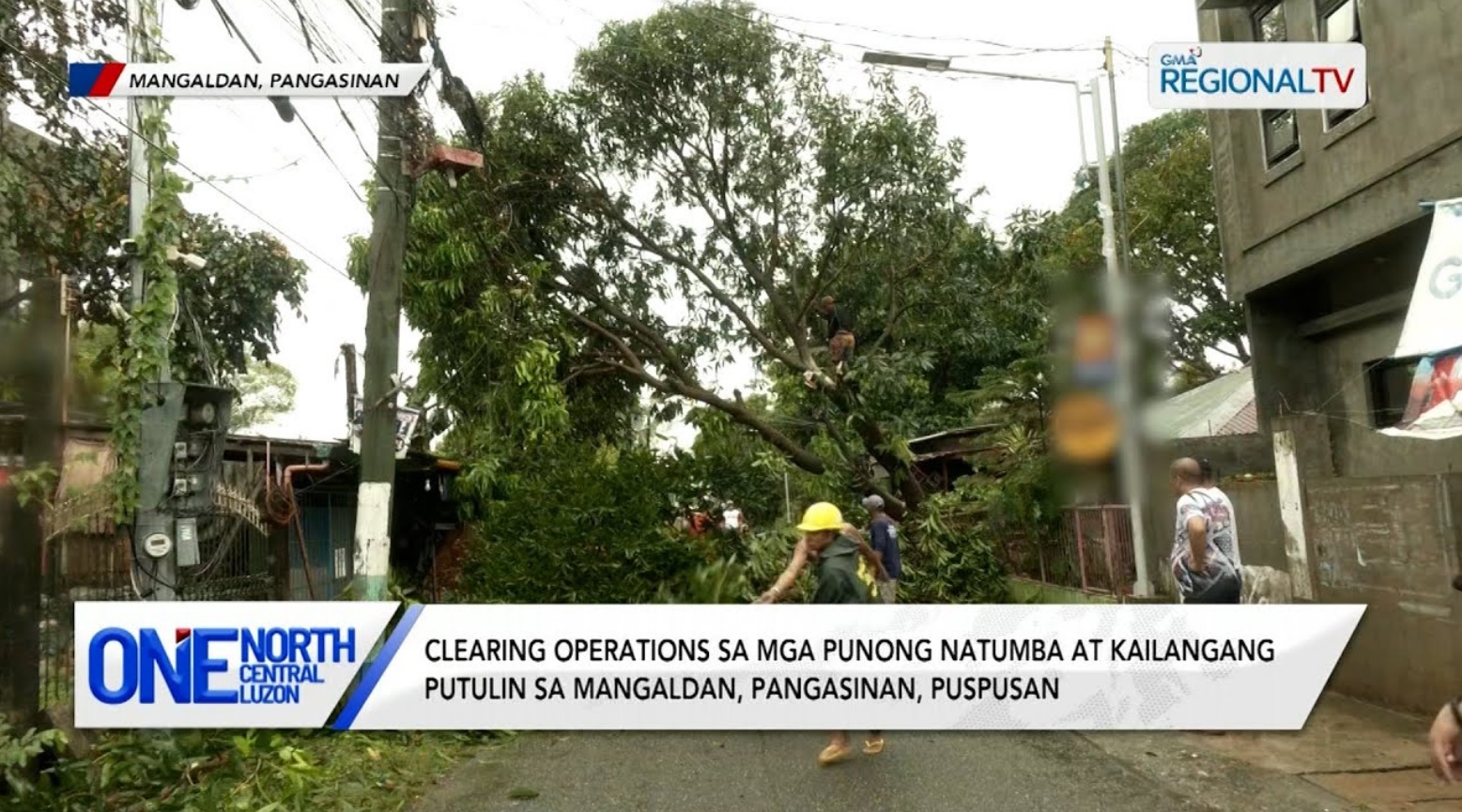 Clearing operations sa mga punong natumba at kailangang putulin ...