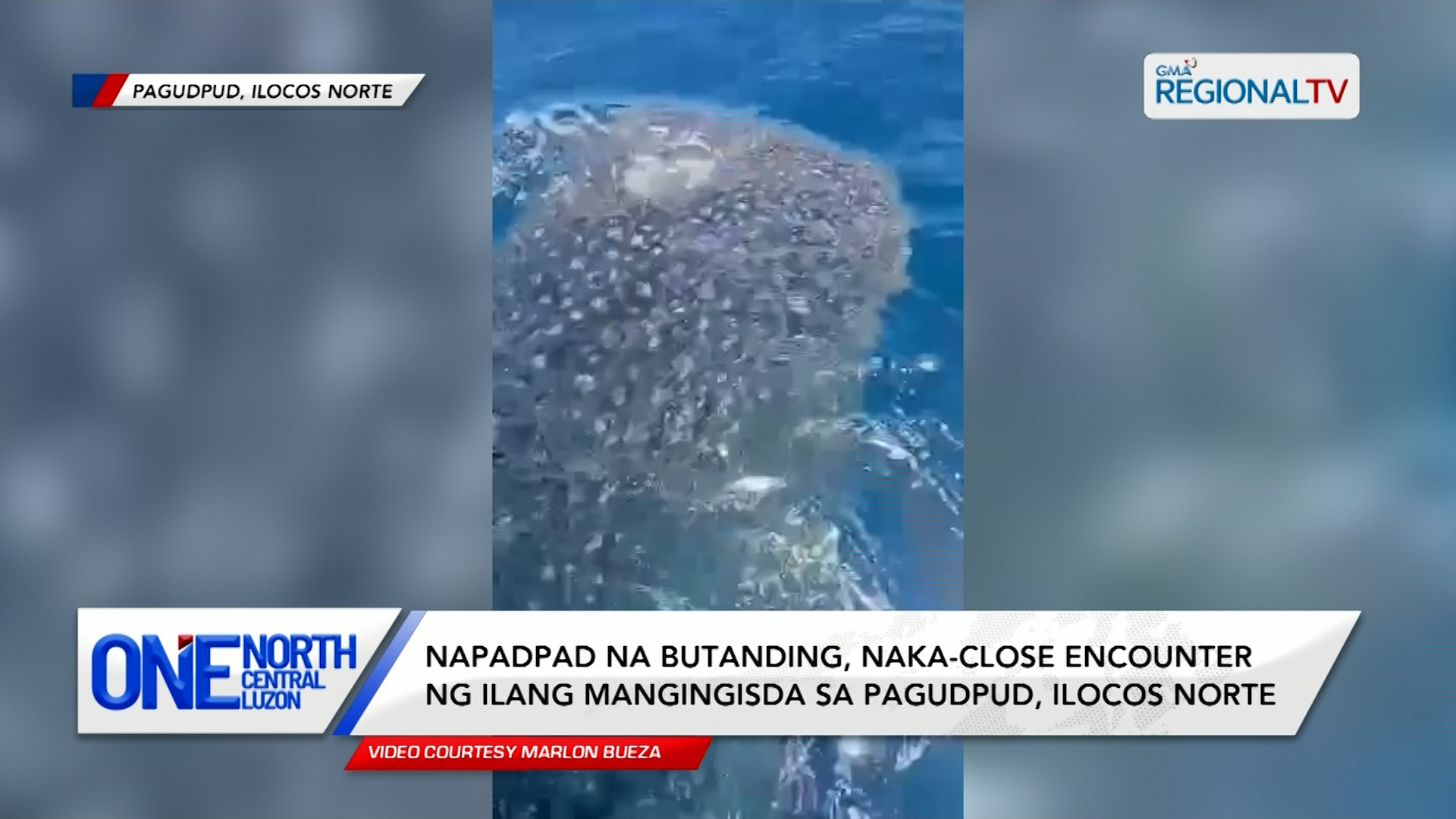 Napadpad na butanding, naka-close encounter ng ilang mangingisda