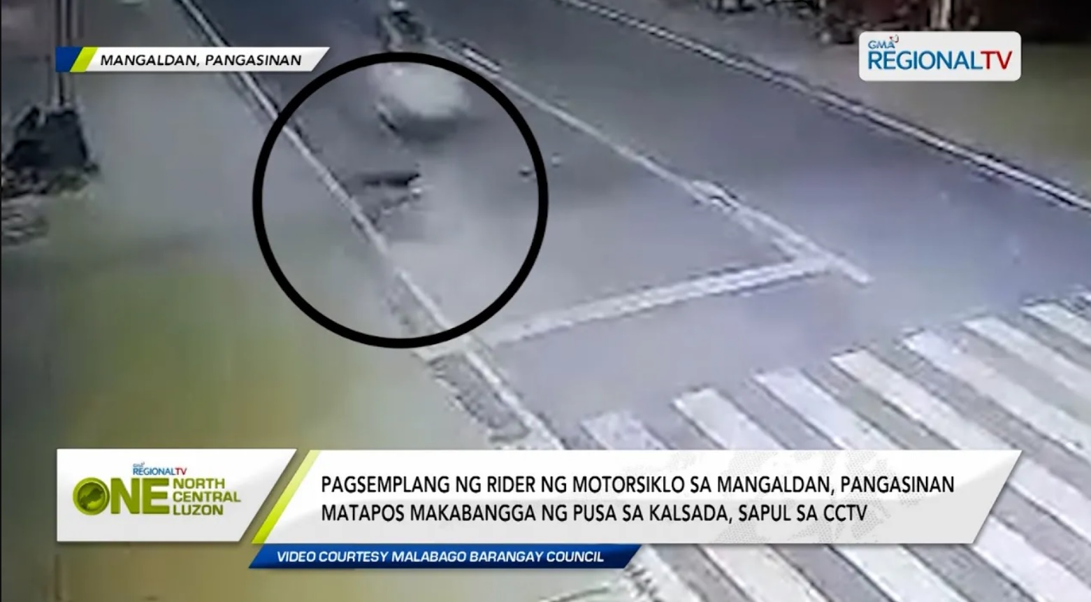 Pagsemplang ng rider matapos makabangga ng pusa sa kalsada, sapul sa CCTV