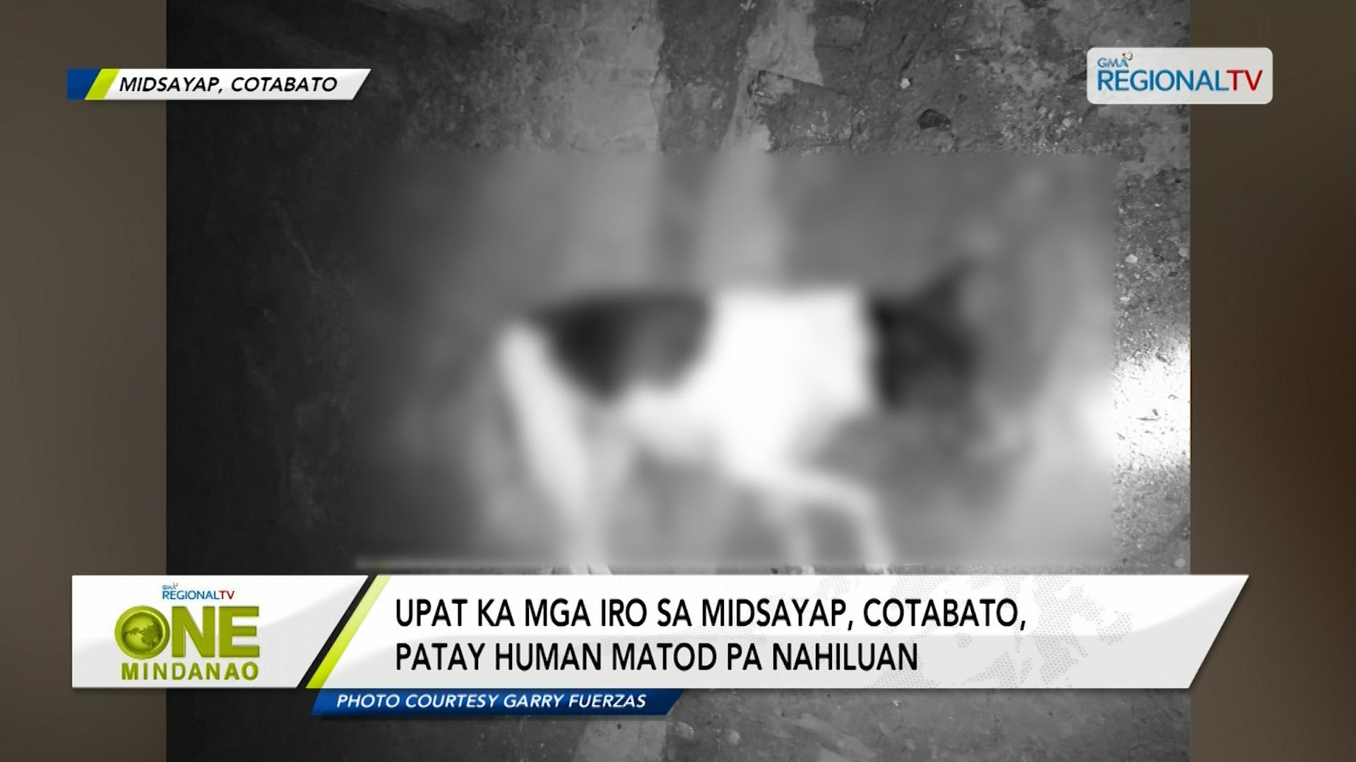 Upat ka mga iro sa Midsayap, Cotabato, patay human matod pa nahiluan