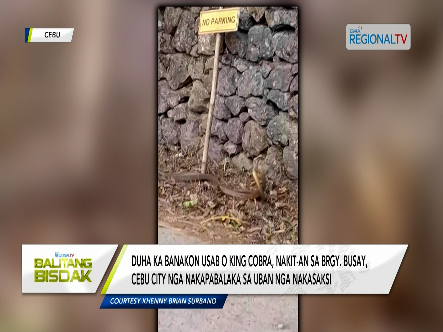 Mag-uuma, patay human gipaak og banakon