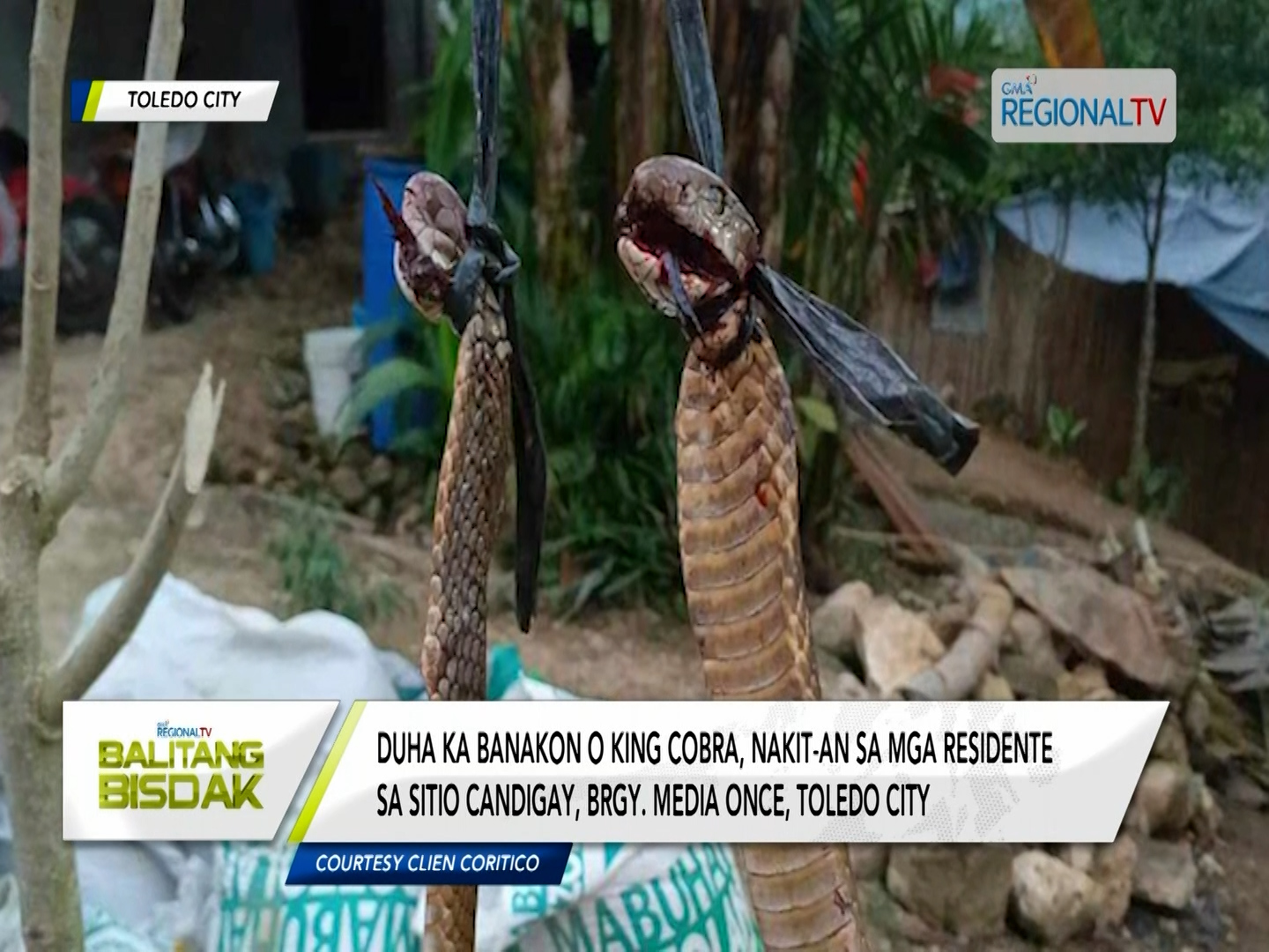 2 ka banakon, gipamatay nunot sa kahadlok