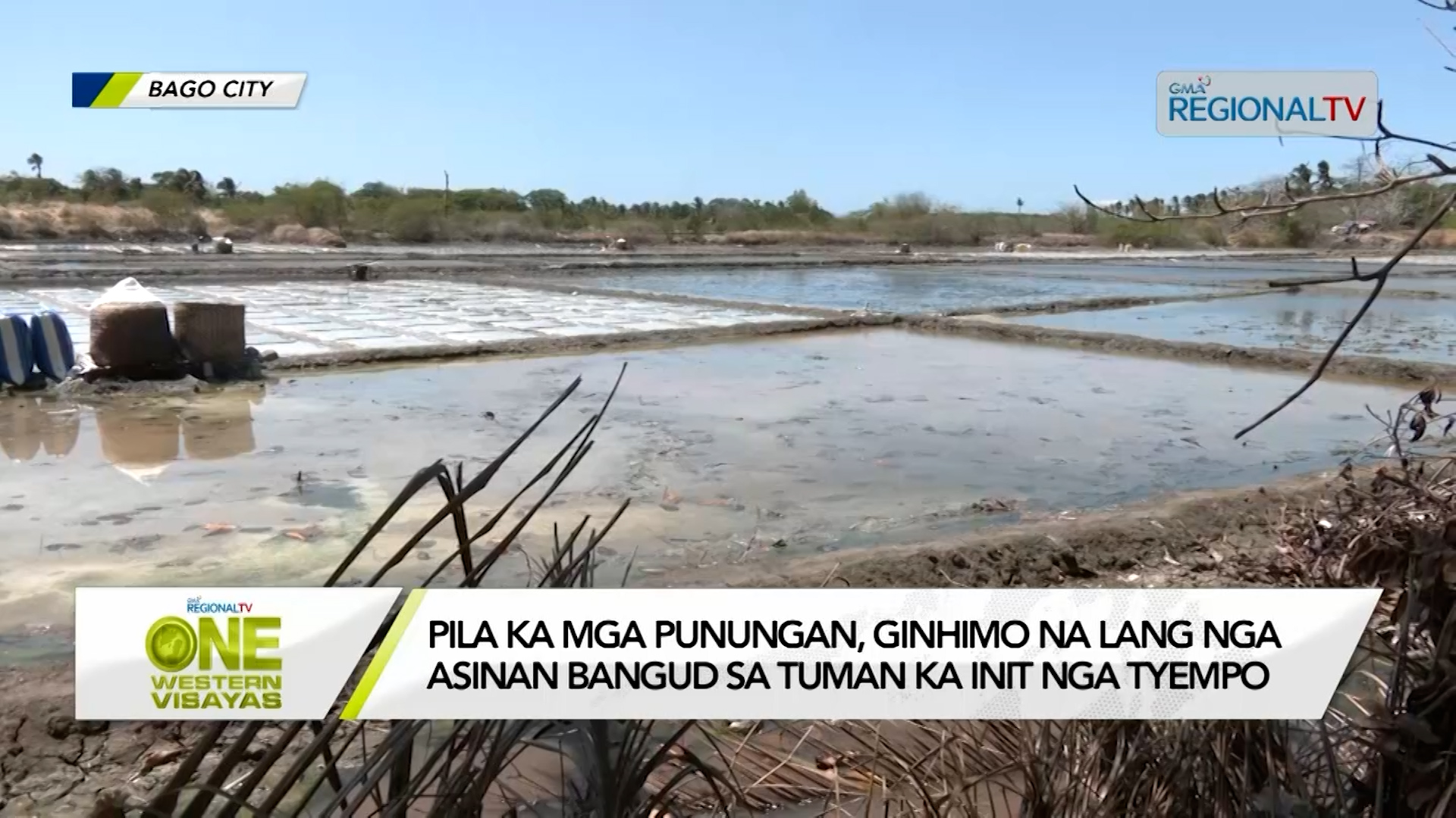 Pila ka mga punungan sa Negros Occidental, ginhimo na lang nga asinan