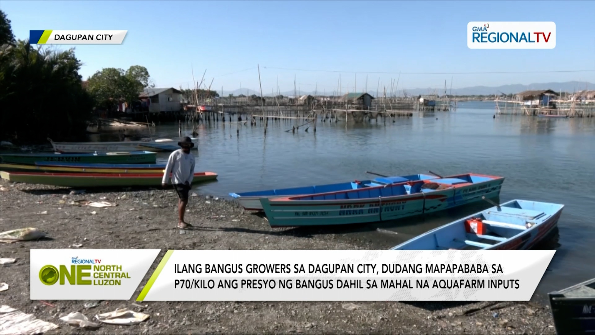 Ilang bangus growers, dudang mapapababa sa P70/kilo ang presyo ng bangus