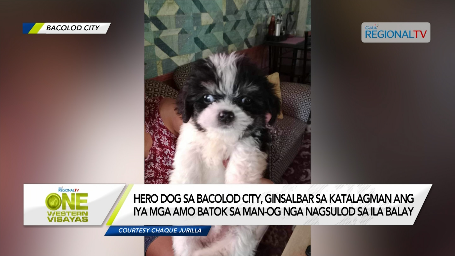 Ido sa Bacolod City, ginsalbar ang iya mga amo sa man-og nga nagsulod ...
