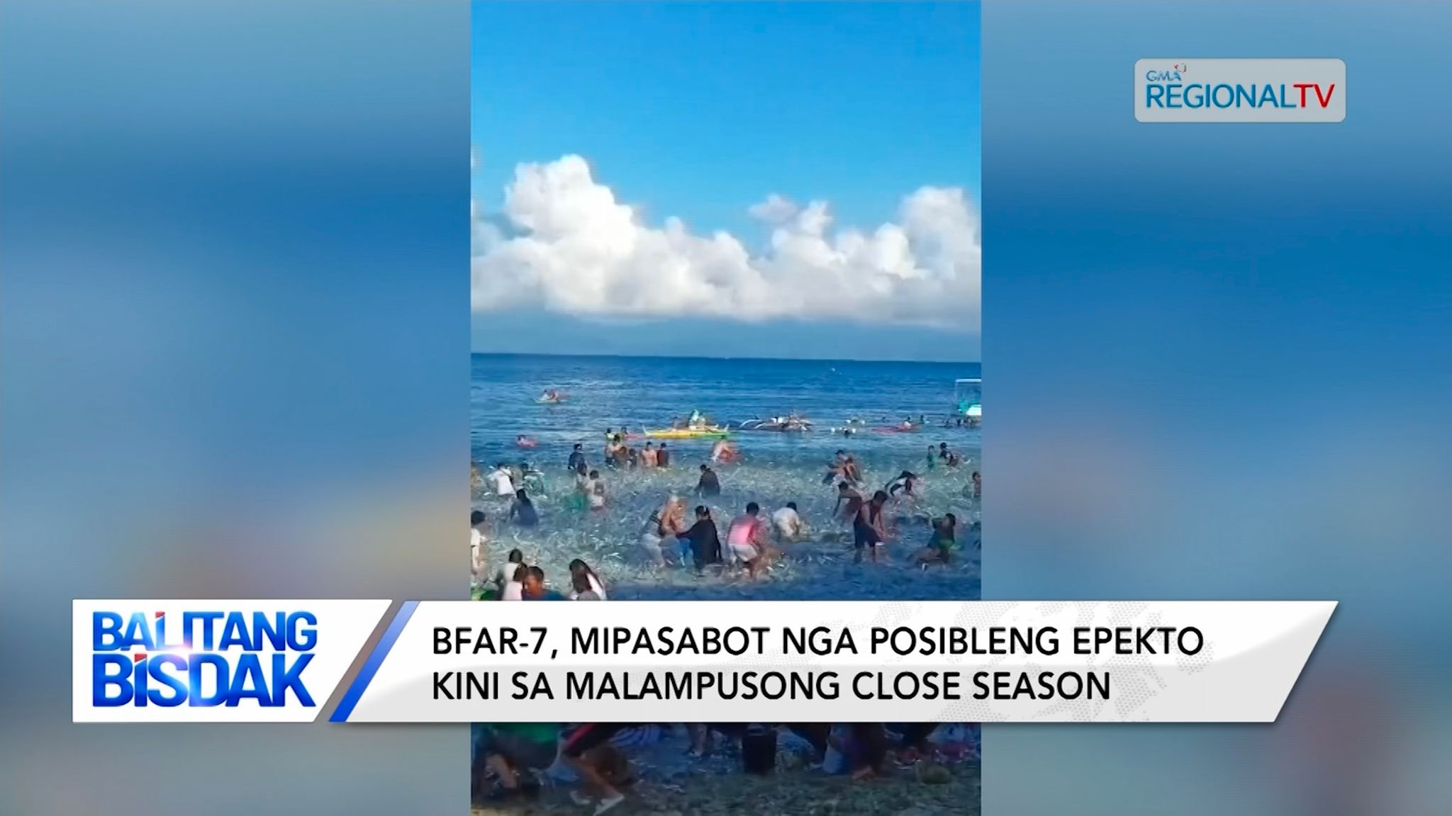 Mga isdang tuloy, midagsa sa baybayon sa Panagsama Basdiot, Moalboal
