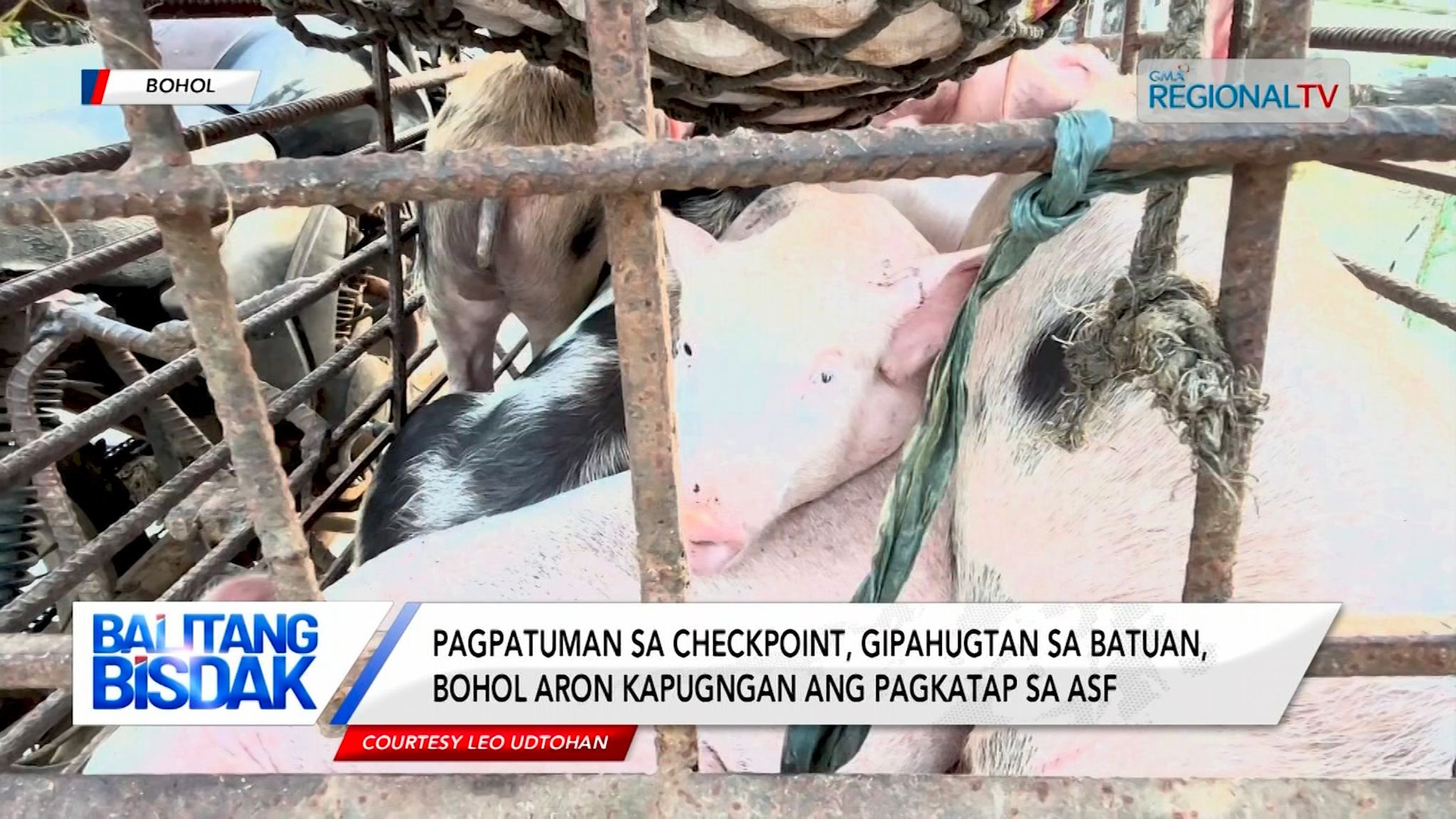 Pagpatuman sa checkpoint, gipahugtan sa Batuan, Bohol aron kapugngan ang ASF