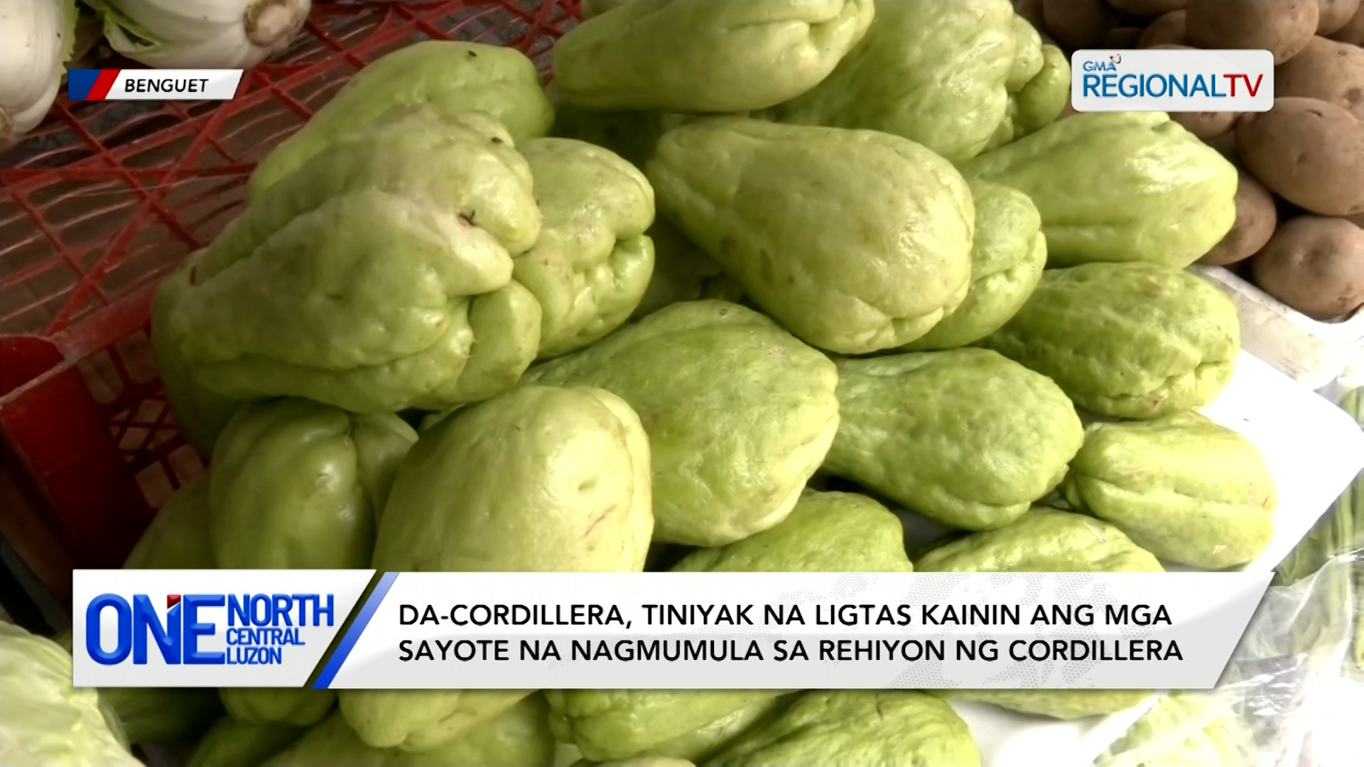 DA-Cordillera, tiniyak na ligtas kainin ang mga sayote sa rehiyon | One North Central Luzon