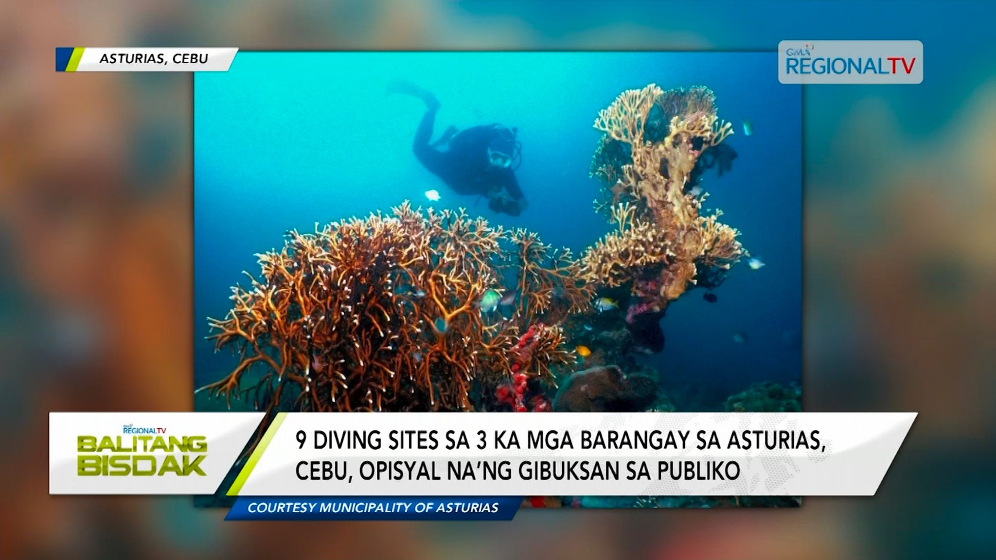Mga diving site sa Asturias, Cebu, gipasigarbo