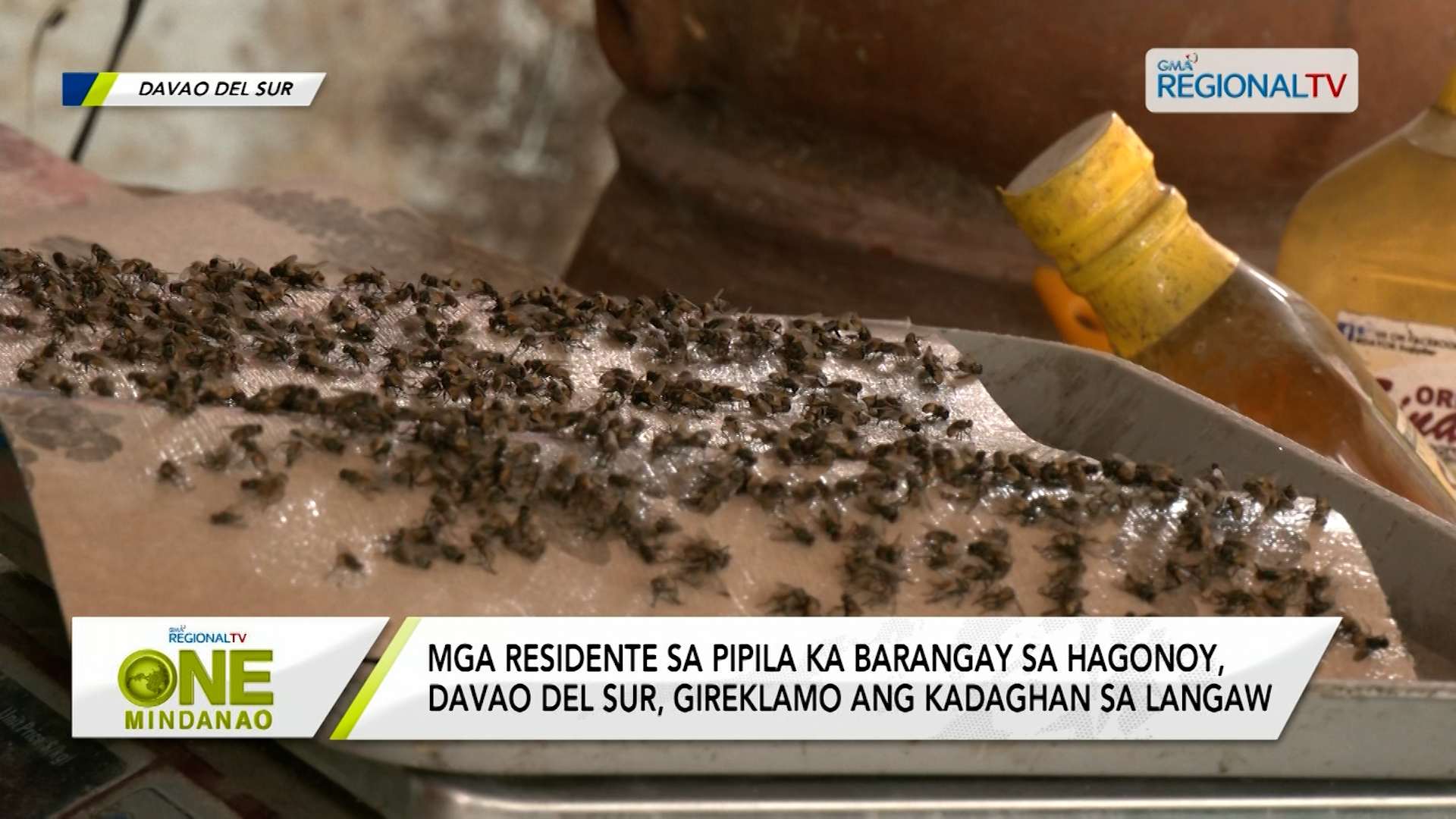 Mga residente sa Hagonoy, Davao del Sur, gireklamo ang kadaghan sa langaw