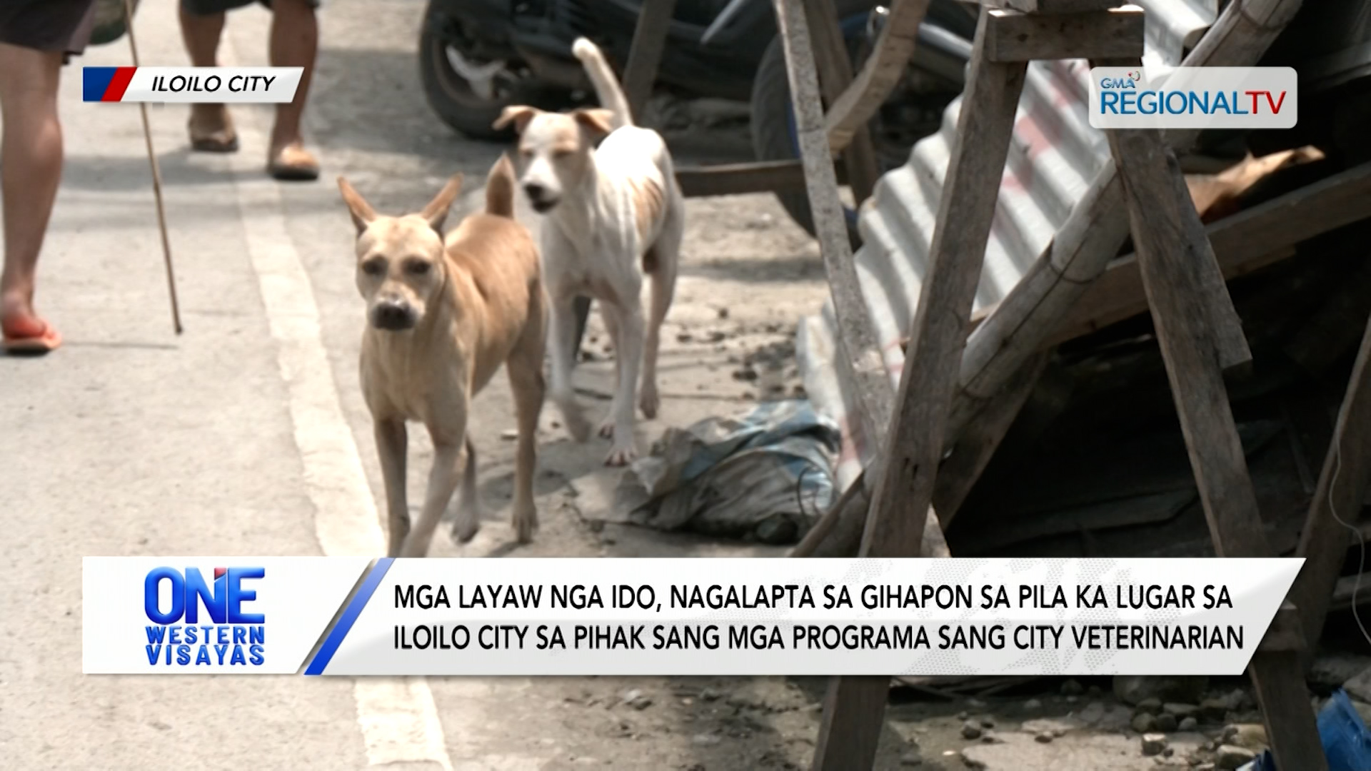Mga layaw nga ido, nagalapta sa gihapon sa pila ka lugar sa Iloilo City ...