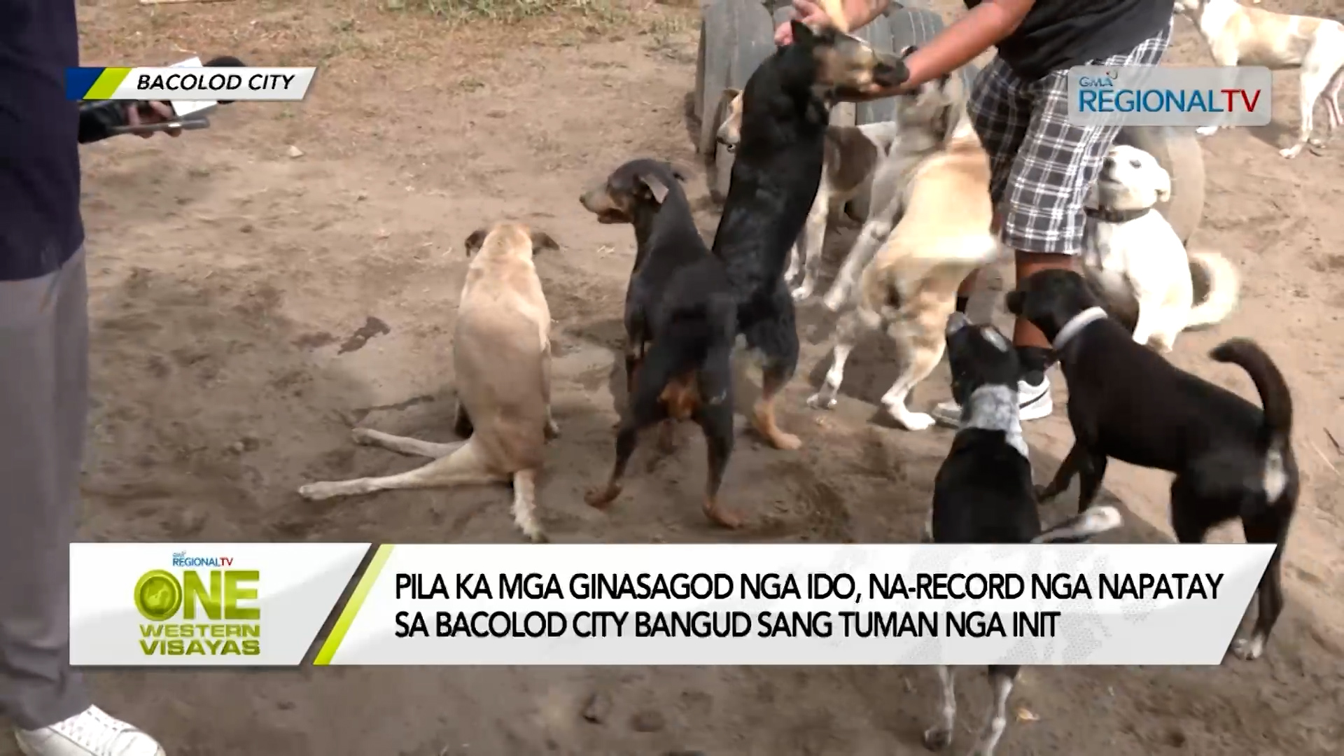 Pila ka mga ginasagod nga ido, napatay sa Bacolod City bangud sa tuman nga init