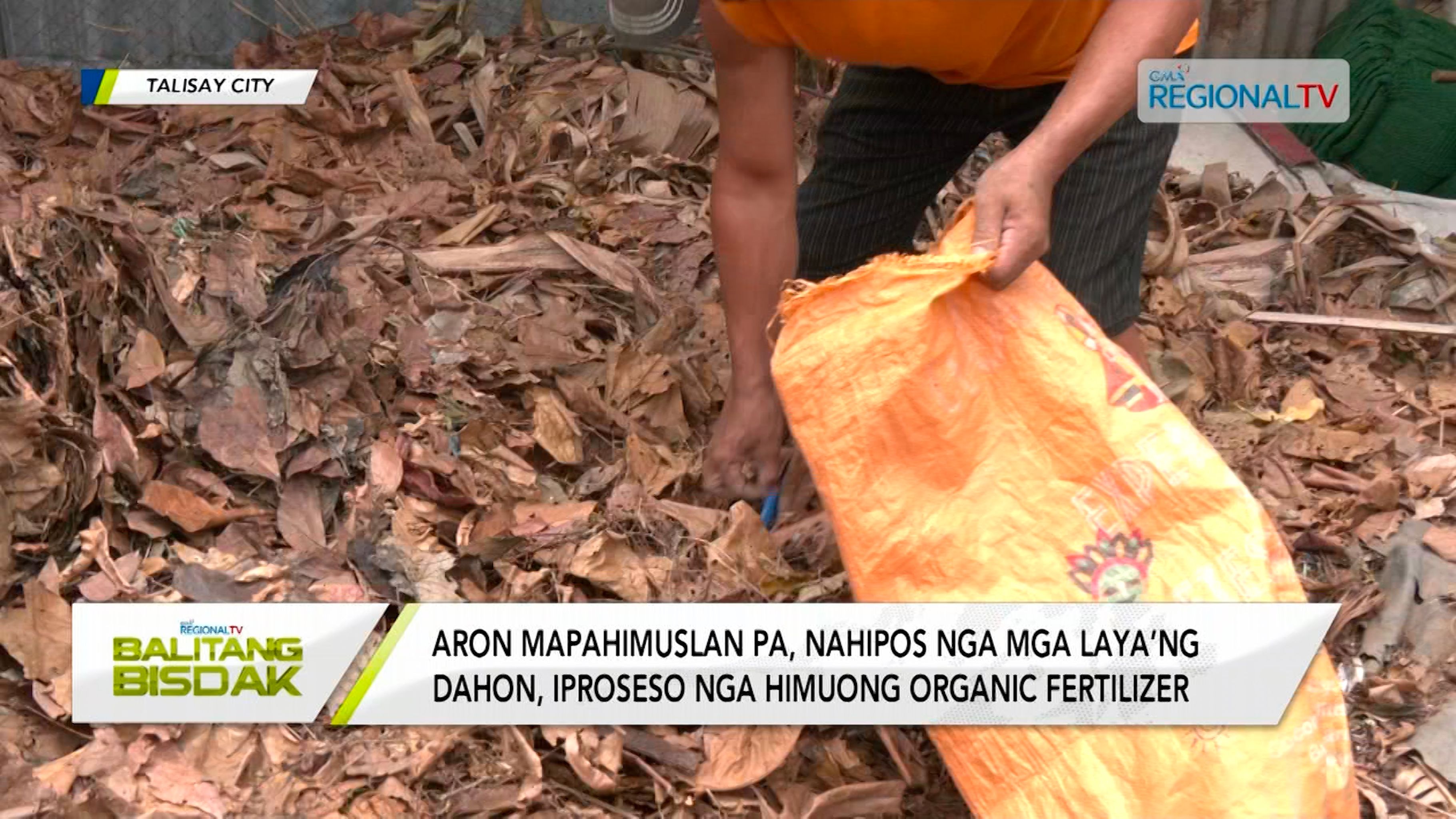 Laya nga mga dahon, delikado sa sunog