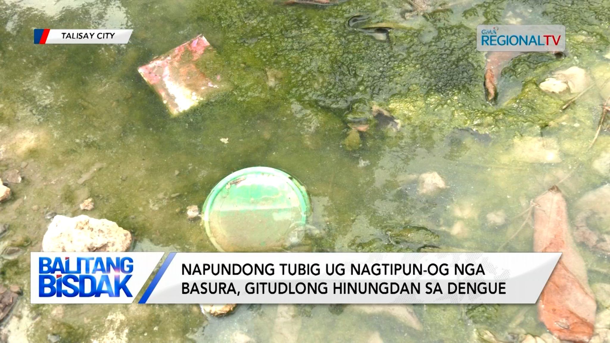 Brgy. Poblacion, aduna’y labing daghang kaso sa dengue sa Talisay City