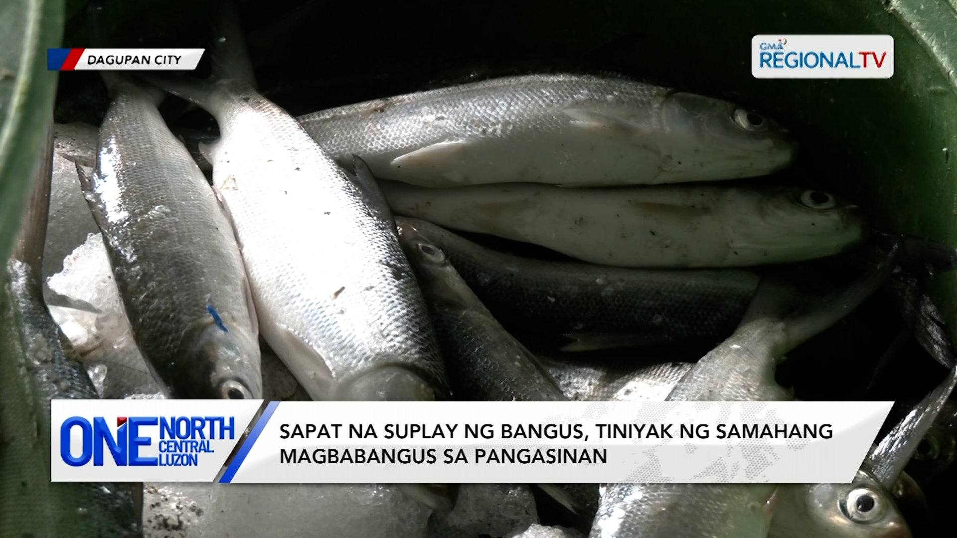 Sapat na suplay ng bangus, tiniyak ng samahang magbabangus sa Pangasinan