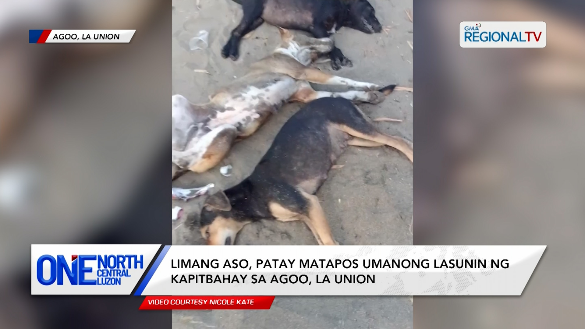 5 aso, patay matapos umanong lasunin ng kapitbahay sa La Union