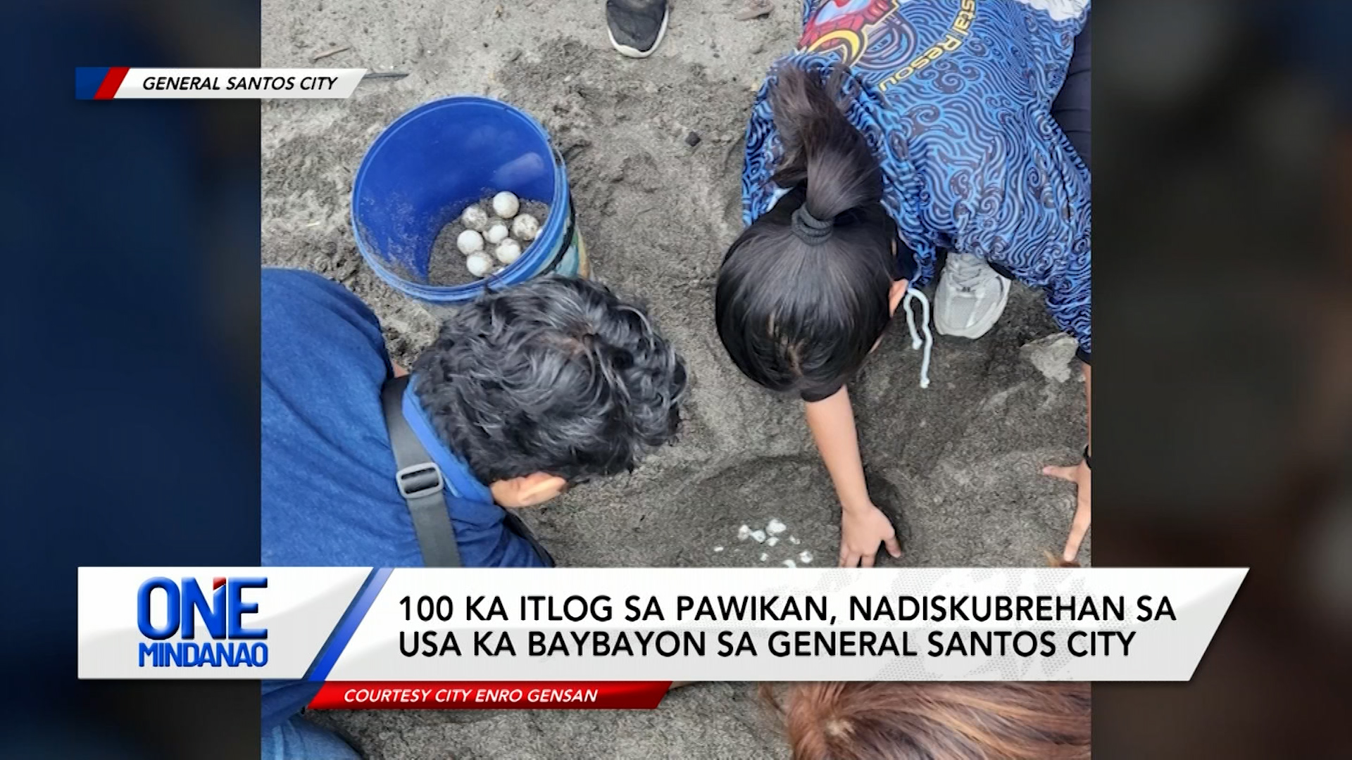 100 ka itlog sa pawikan, nadiskubrehan sa usa ka baybayon sa General Santos City