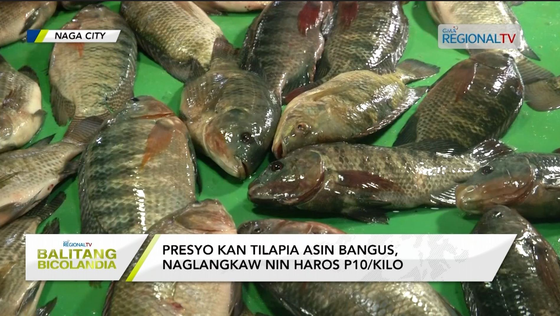 Presyo kan tilapia asin bangus, naglangkaw nin haros P10/Kilo