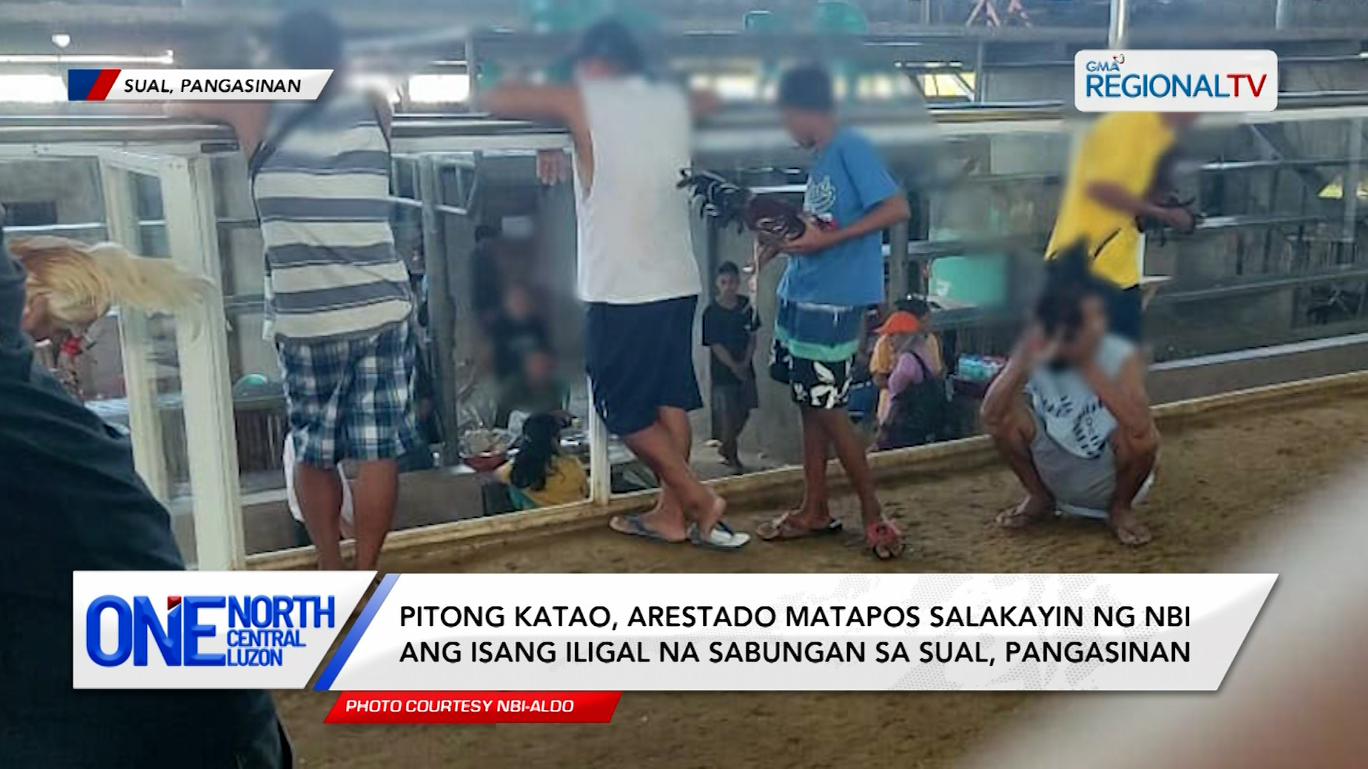 7 katao, arestado matapos salakayin ng NBI ang isang iligal na sabungan