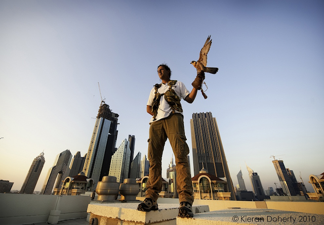 BBC’S 'Human Planet: Cities–Surviving the Urban Jungle' on News TV ...