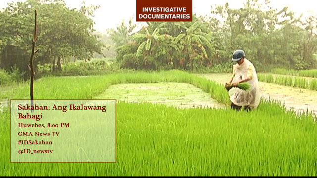 'Sakahan: ang ikalawang bahagi' sa Investigative Documentaries | GMA News Online