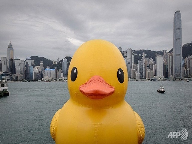 Giant yellow duck explodes in Taiwan... again | GMA News Online