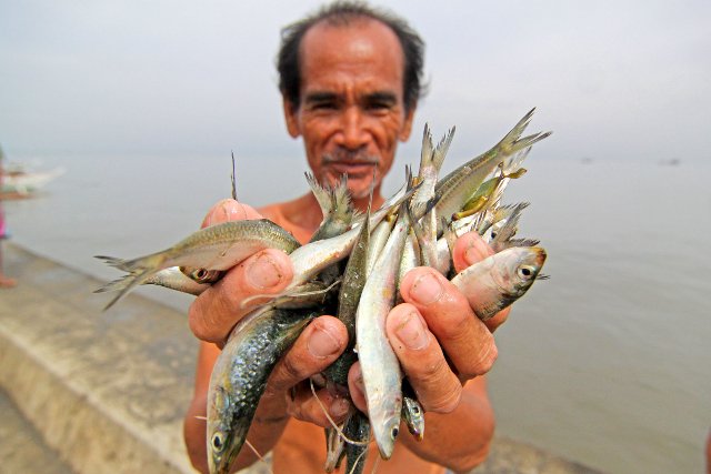 Cavite fisherfolk feel impact of oil spill on their livelihood | GMA ...
