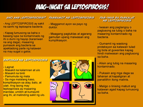 DOH deploys leptospirosis meds stocks to evacuation centers, disaster ...