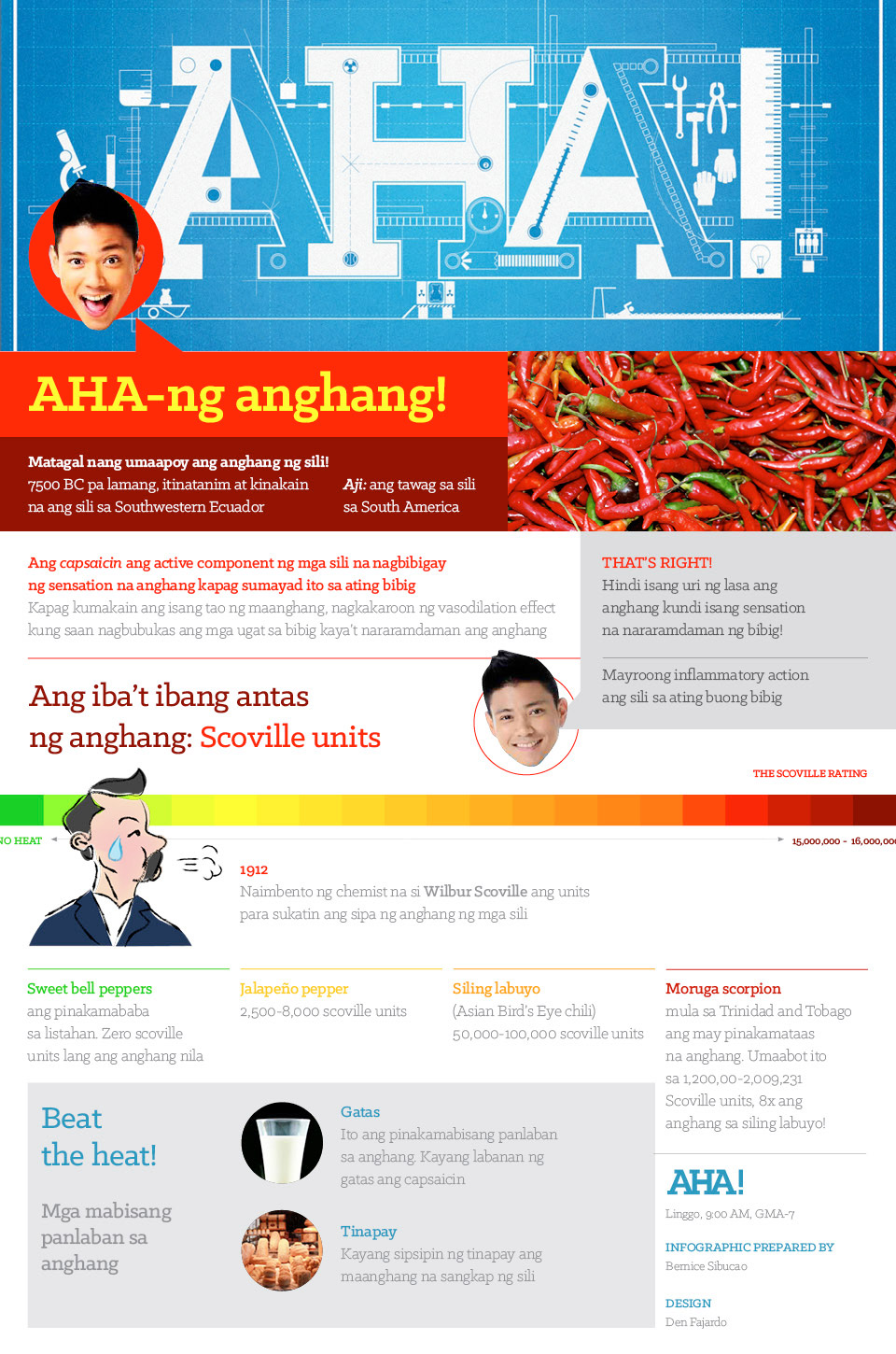 INFOGRAPHIC: AHA-ng Anghang! | GMA News Online
