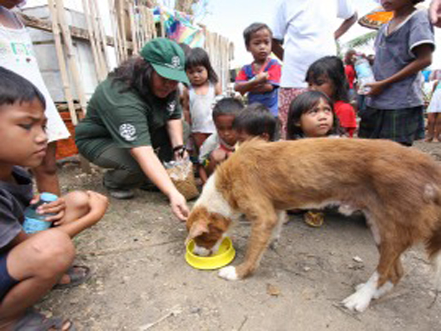Animal rights group comes to the rescue of typhoon Yolanda's furry ...