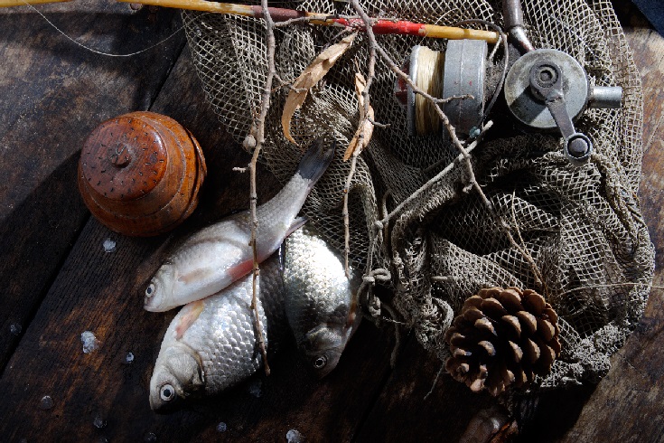 'Front Row' presents: 'Navotas' | GMA News Online