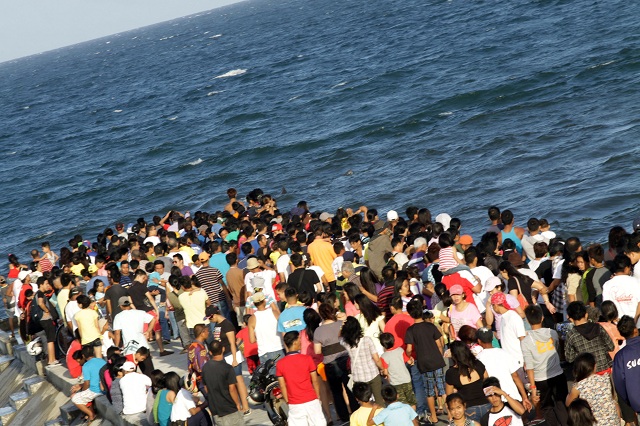 Flocking to see the butanding | Photos | GMA News Online