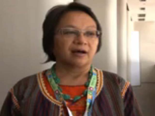 Filipina Activist Named Un Special Rapporteur On Indigenous Peoples