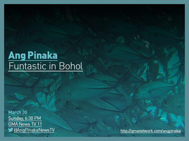 'Ang Pinaka': Funtastic in Bohol | GMA News Online